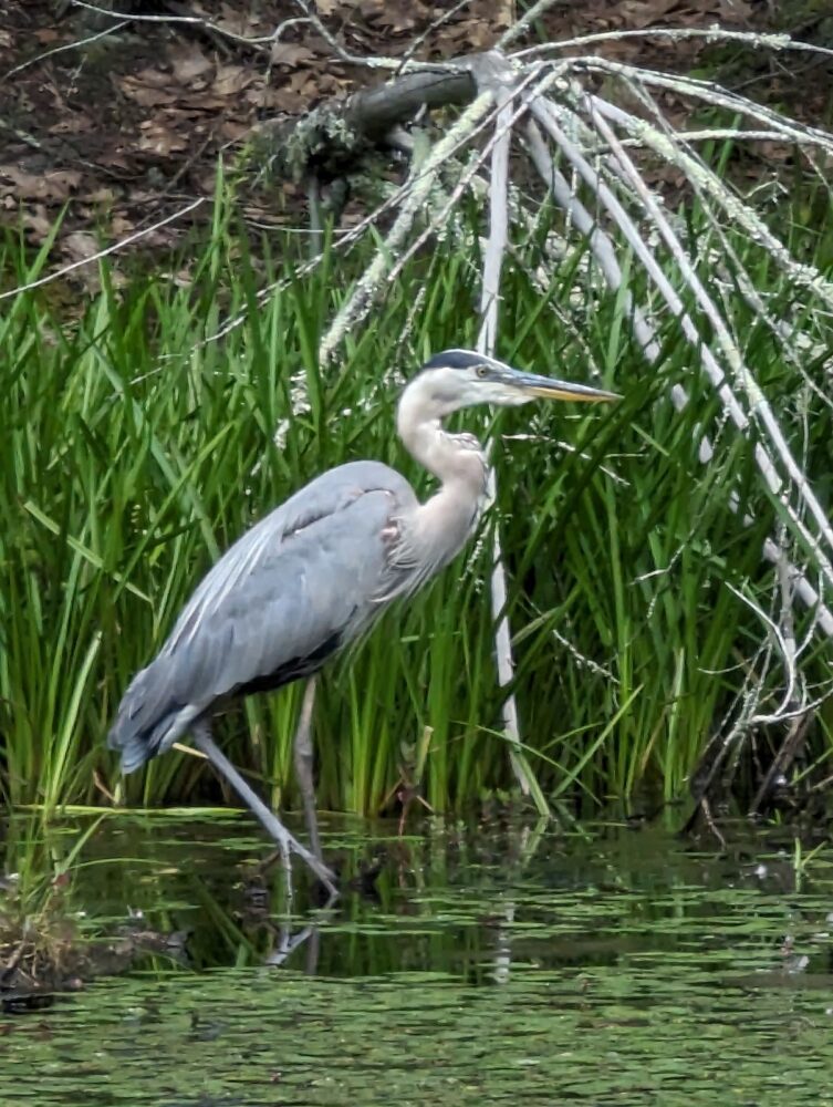 O&W Rail Trail - Home Sweet Hudson