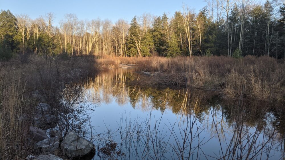 Colgate Lake Wild Forest - Home Sweet Hudson