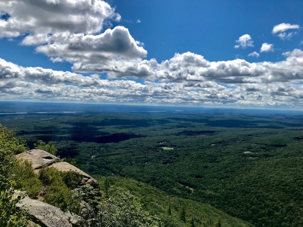 Huckleberry Point - Home Sweet Hudson